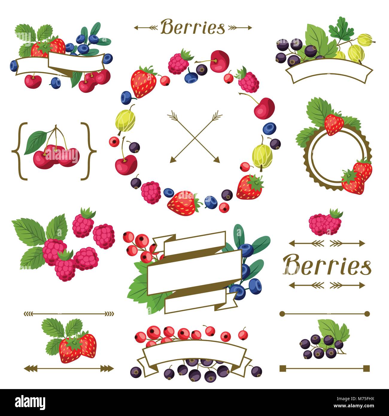 Raspberry set ripe berries Stock Vector Images - Alamy