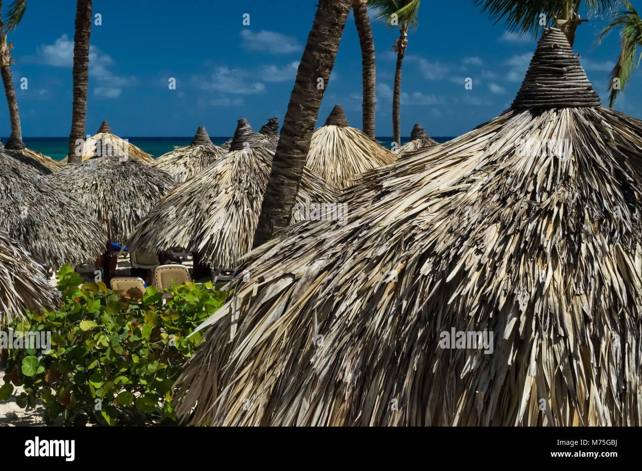 A thatched palm frond palapa umbrella on a beautiful beach amongst the ...