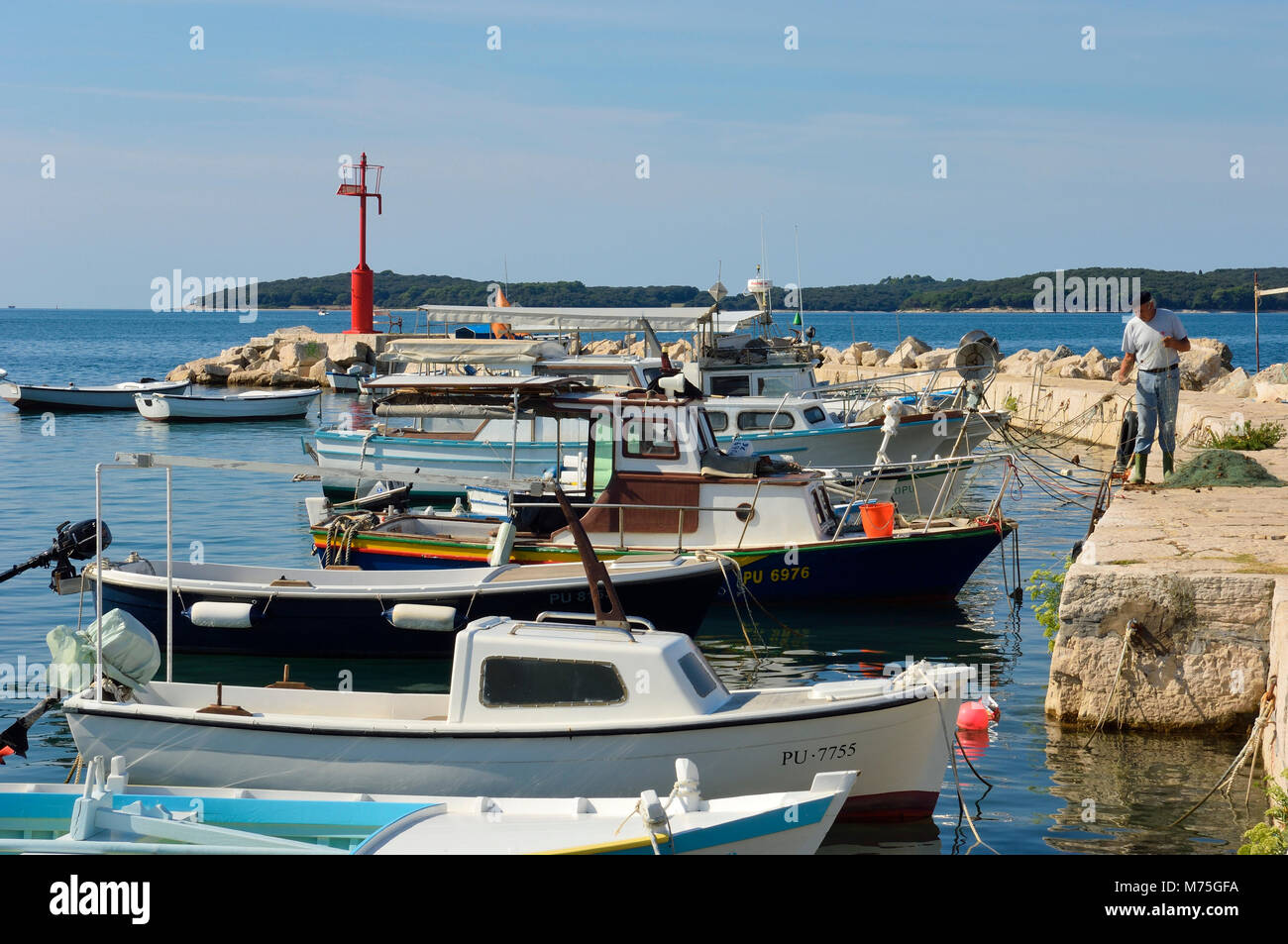 Fazana fasana hi-res stock photography and images - Alamy