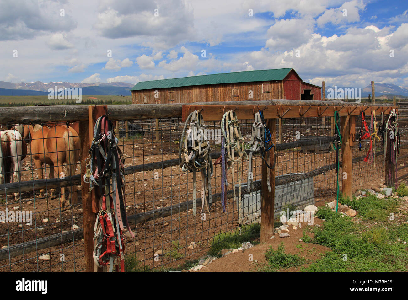 Halters and ropes on the corral fence Stock Photo - Alamy
