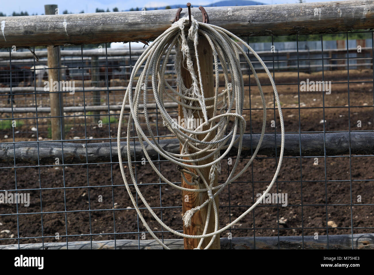 Horse corral with riding gear hanging on a post, ready to use Stock ...