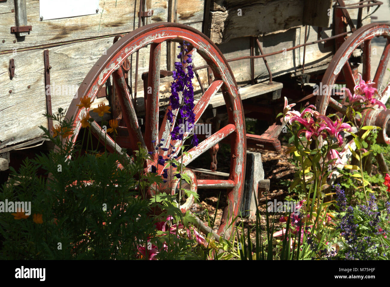 Old wood delivery wagon Stock Photo - Alamy