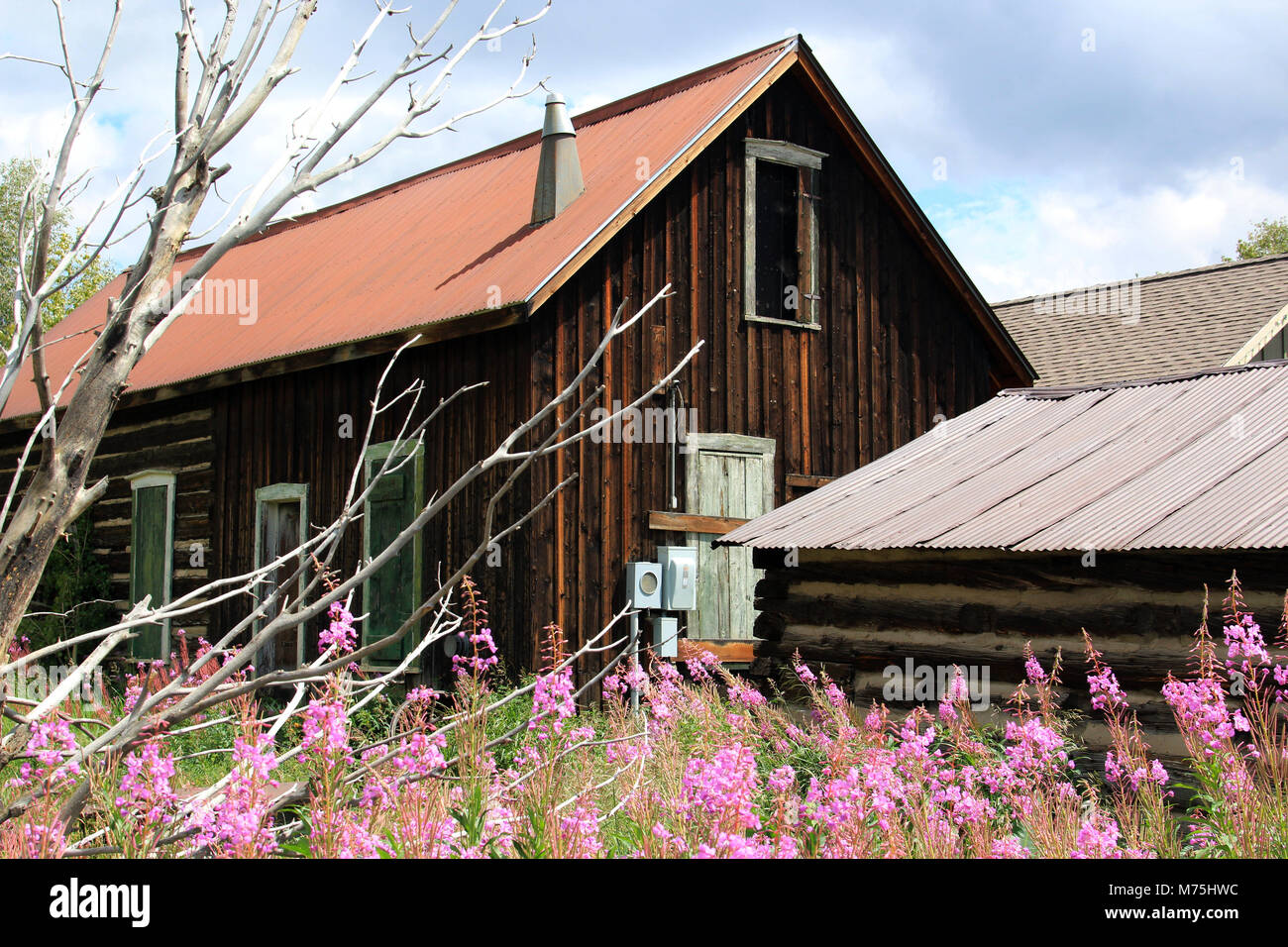 Smoky mountains old growth hi-res stock photography and images - Alamy