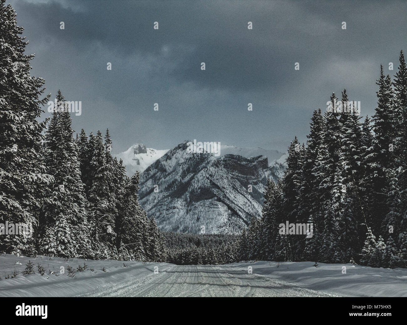 Incredible view hi-res stock photography and images - Alamy