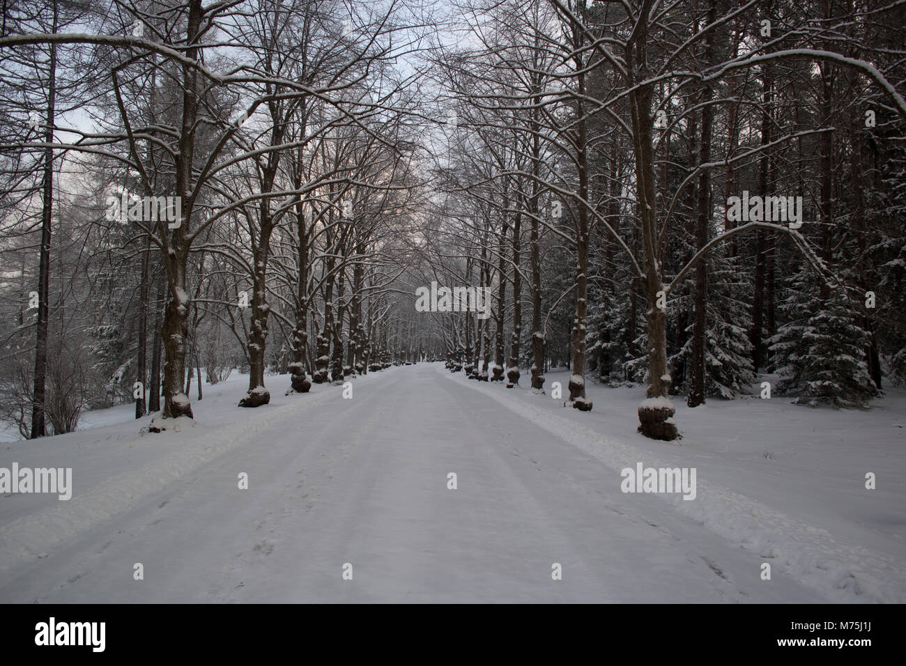 Toila hi-res stock photography and images - Alamy