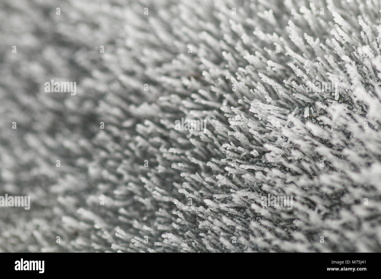 Ice art structures on frozen iron structures along the road Stock Photo ...