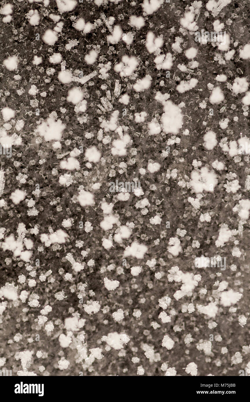 Very abstract grey ice structures on top of little pools on tracks ...