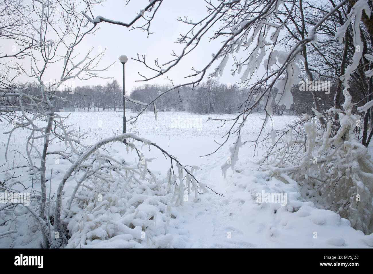 Lamp post snow hi-res stock photography and images - Alamy