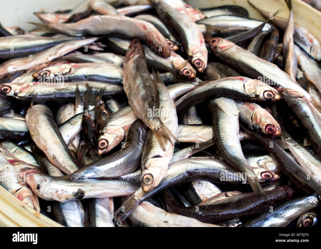 Salted anchovy fish lies on the counter Stock Photo - Alamy