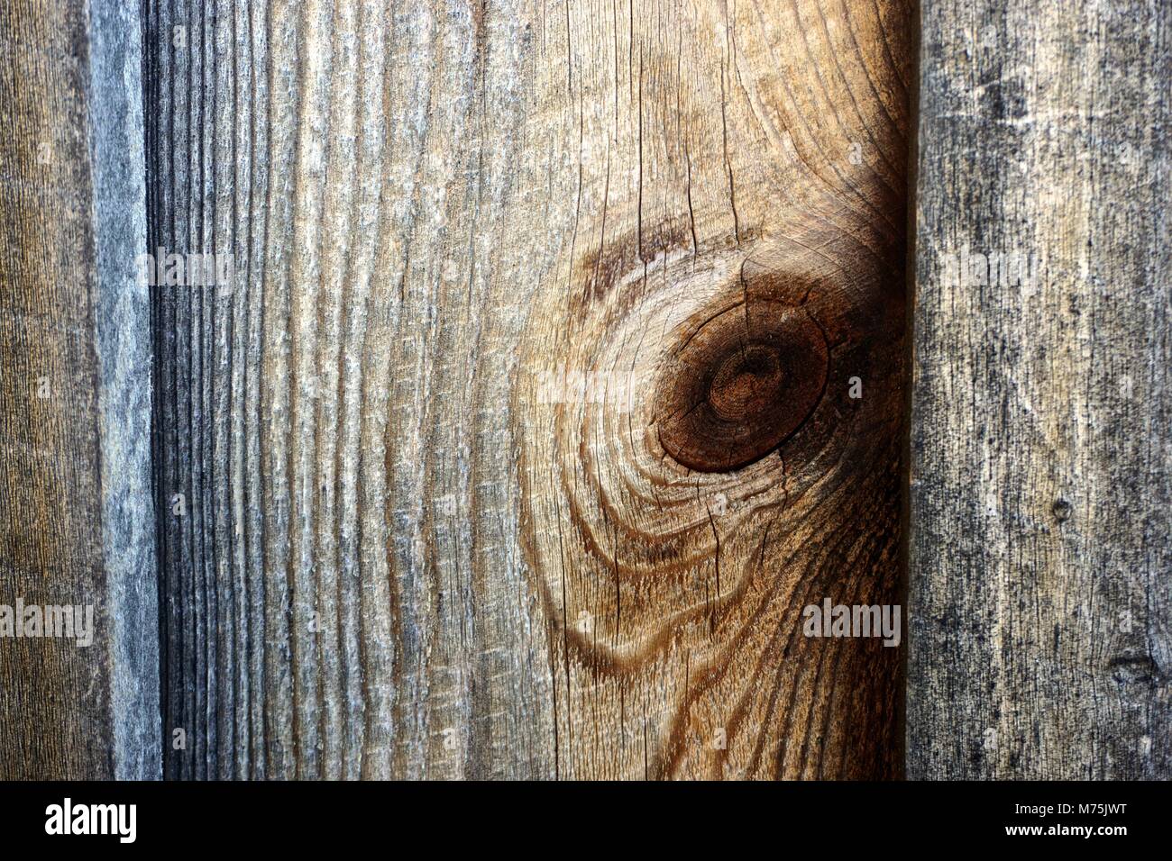 A closeup photo of a knothole in unfinished, raw wood reveals and ...