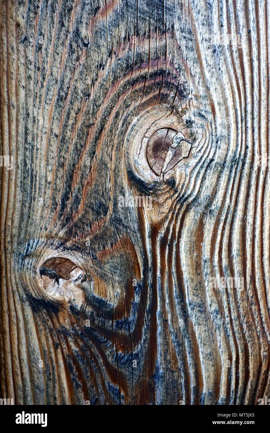A closeup photo of a knothole in unfinished, raw wood reveals and ...