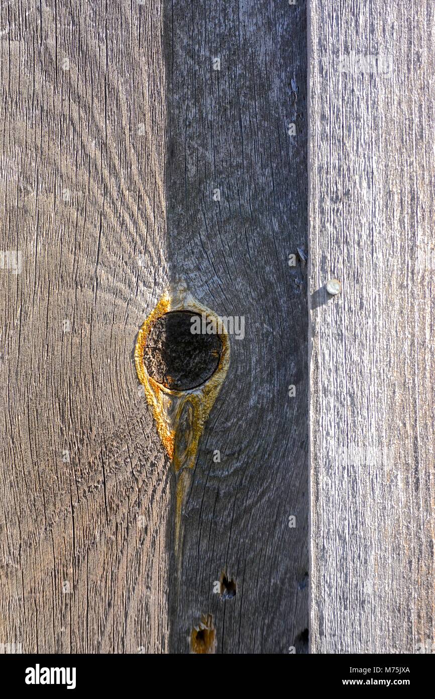 A closeup photo of a knothole in unfinished, raw wood reveals and ...