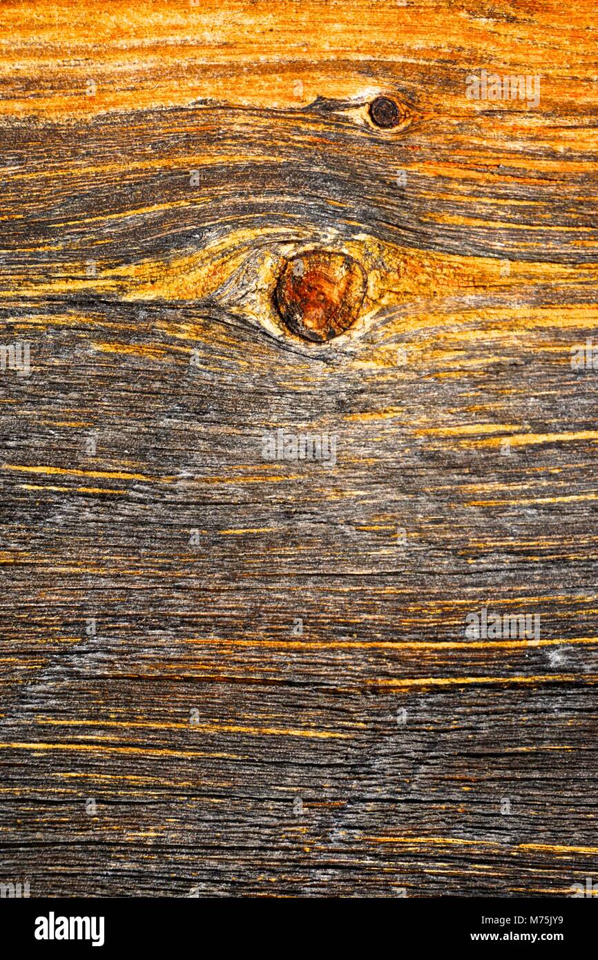 A closeup photo of a knothole in unfinished, raw wood reveals and ...