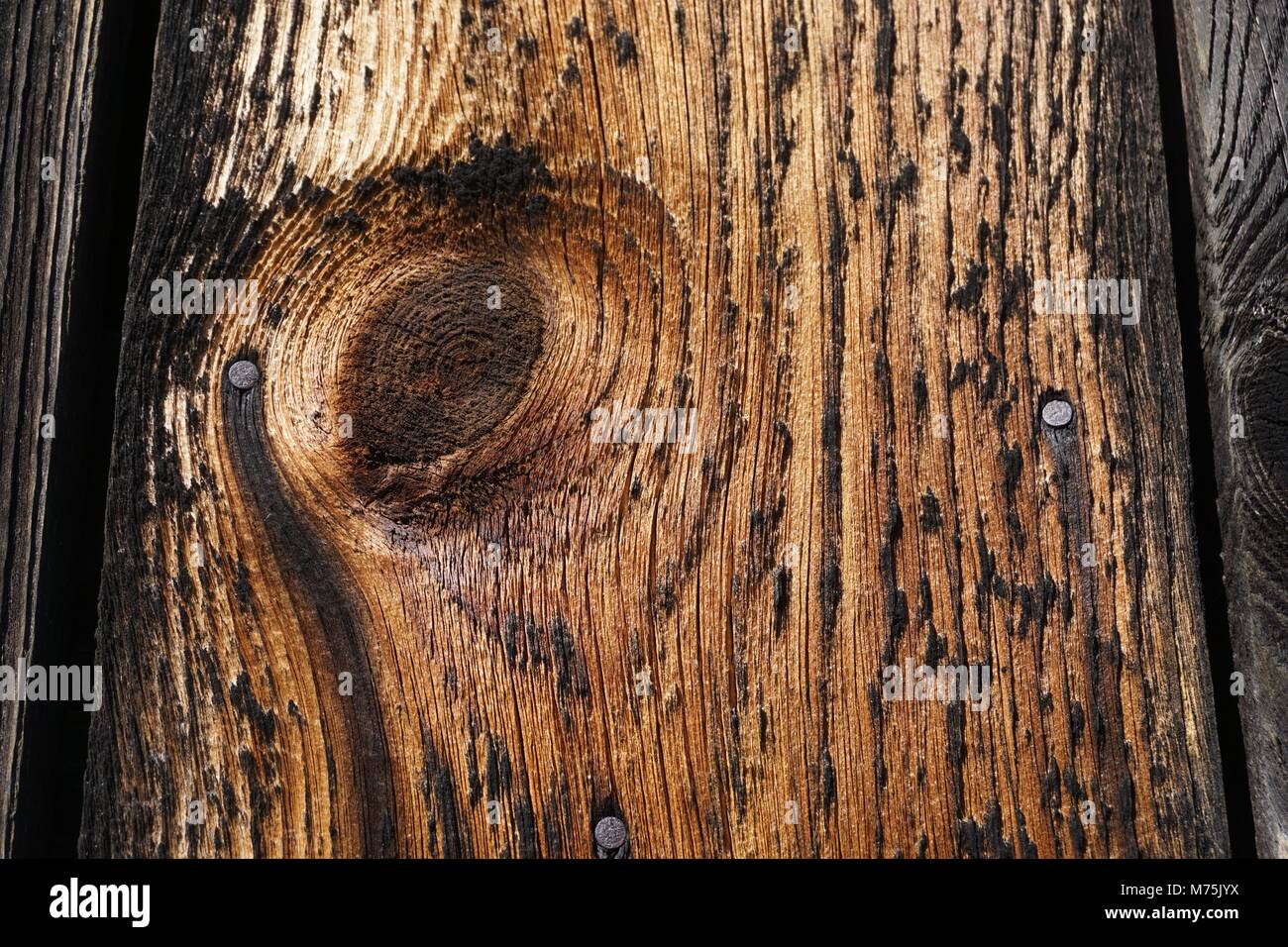 A closeup photo of a knothole in unfinished, raw wood reveals and ...