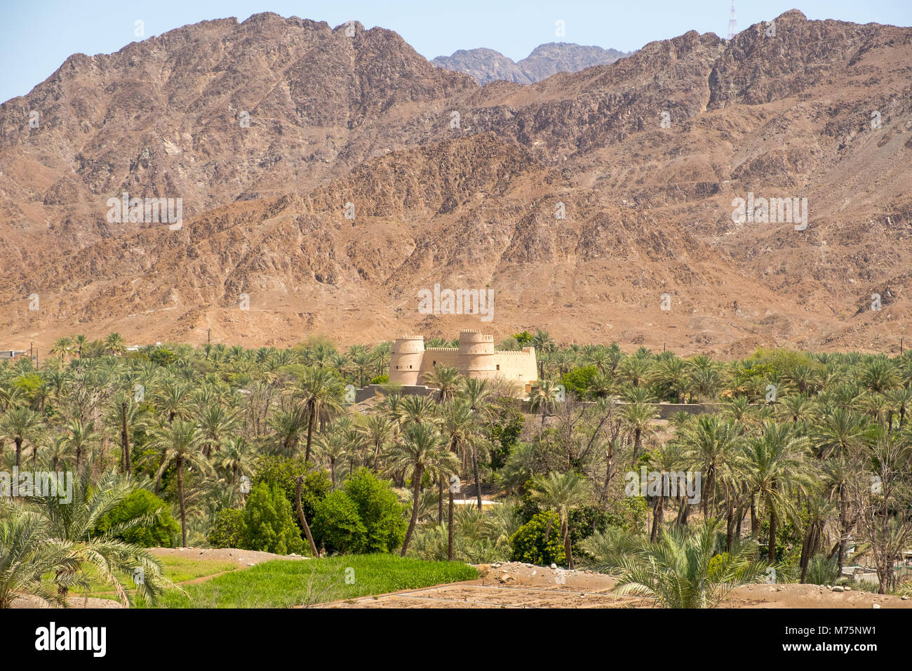 Emirates heritage hi-res stock photography and images - Alamy