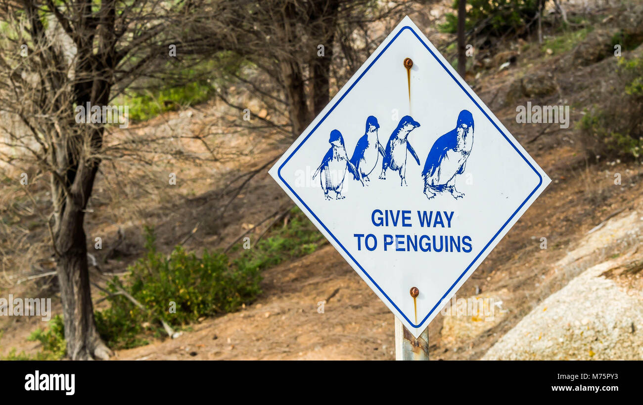 Penguins warning sign hi-res stock photography and images - Alamy