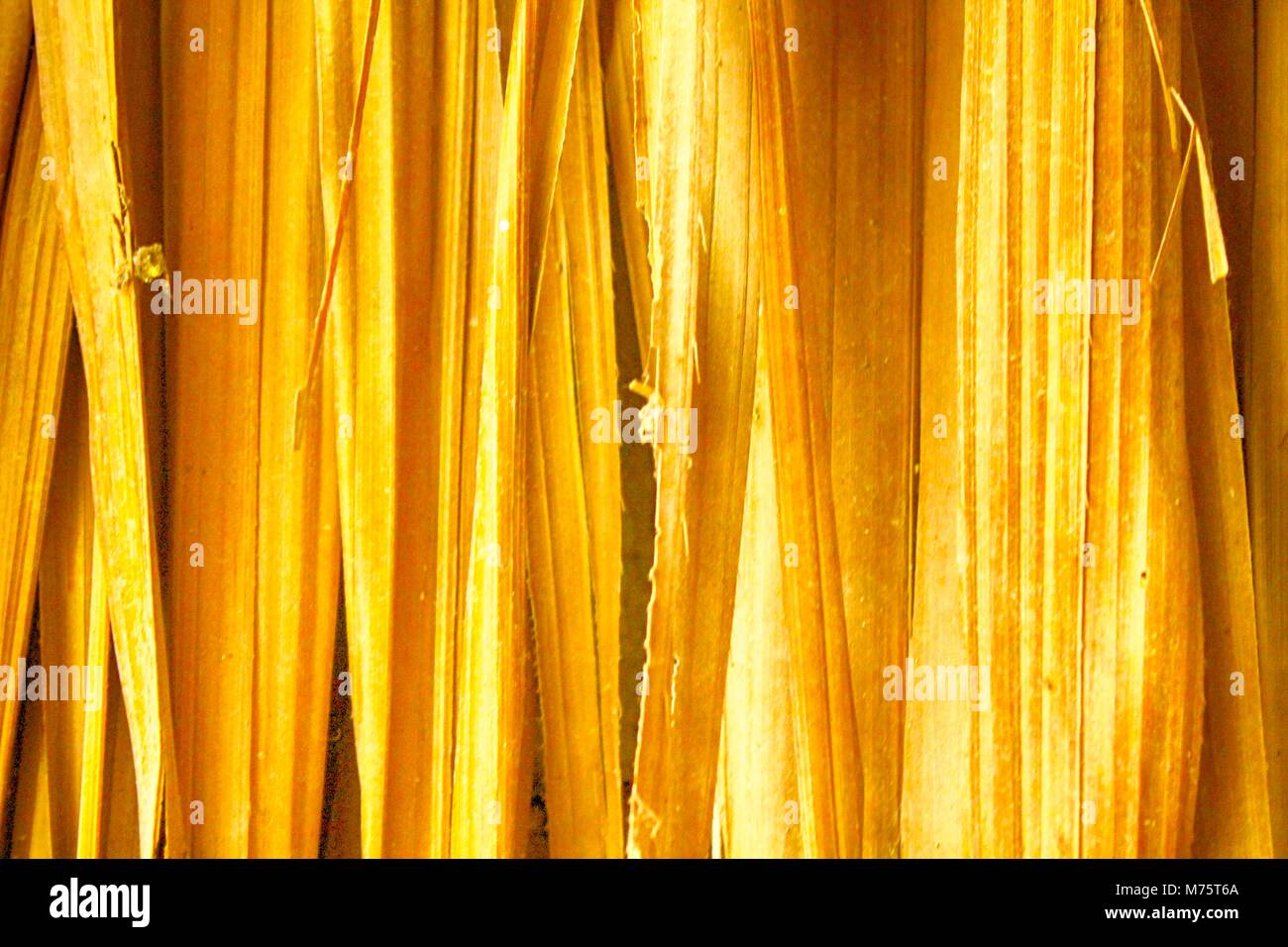 Orange Bamboo wall texture background. wooden texture Stock Photo - Alamy