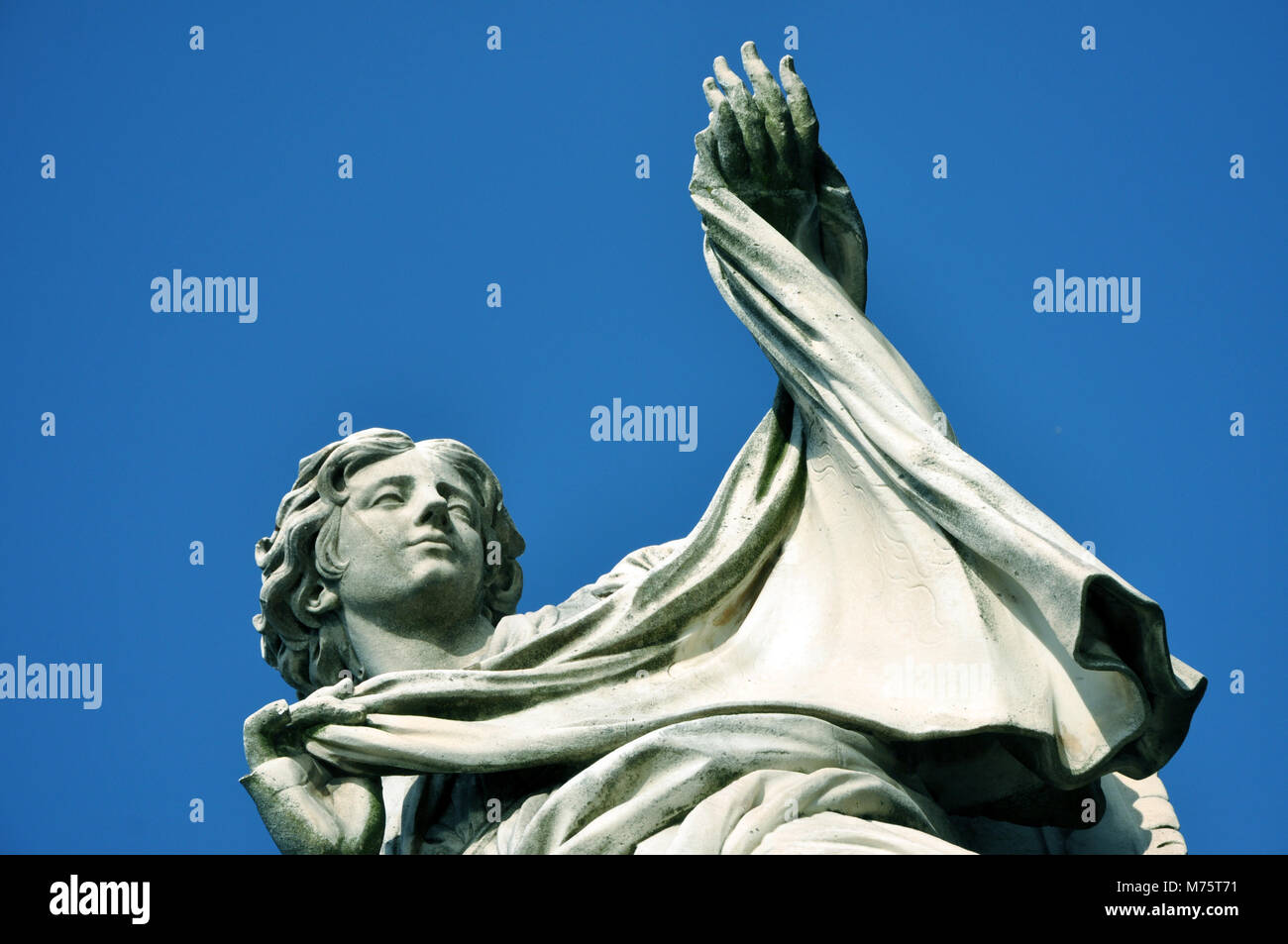 Veronicas veil hi-res stock photography and images - Alamy