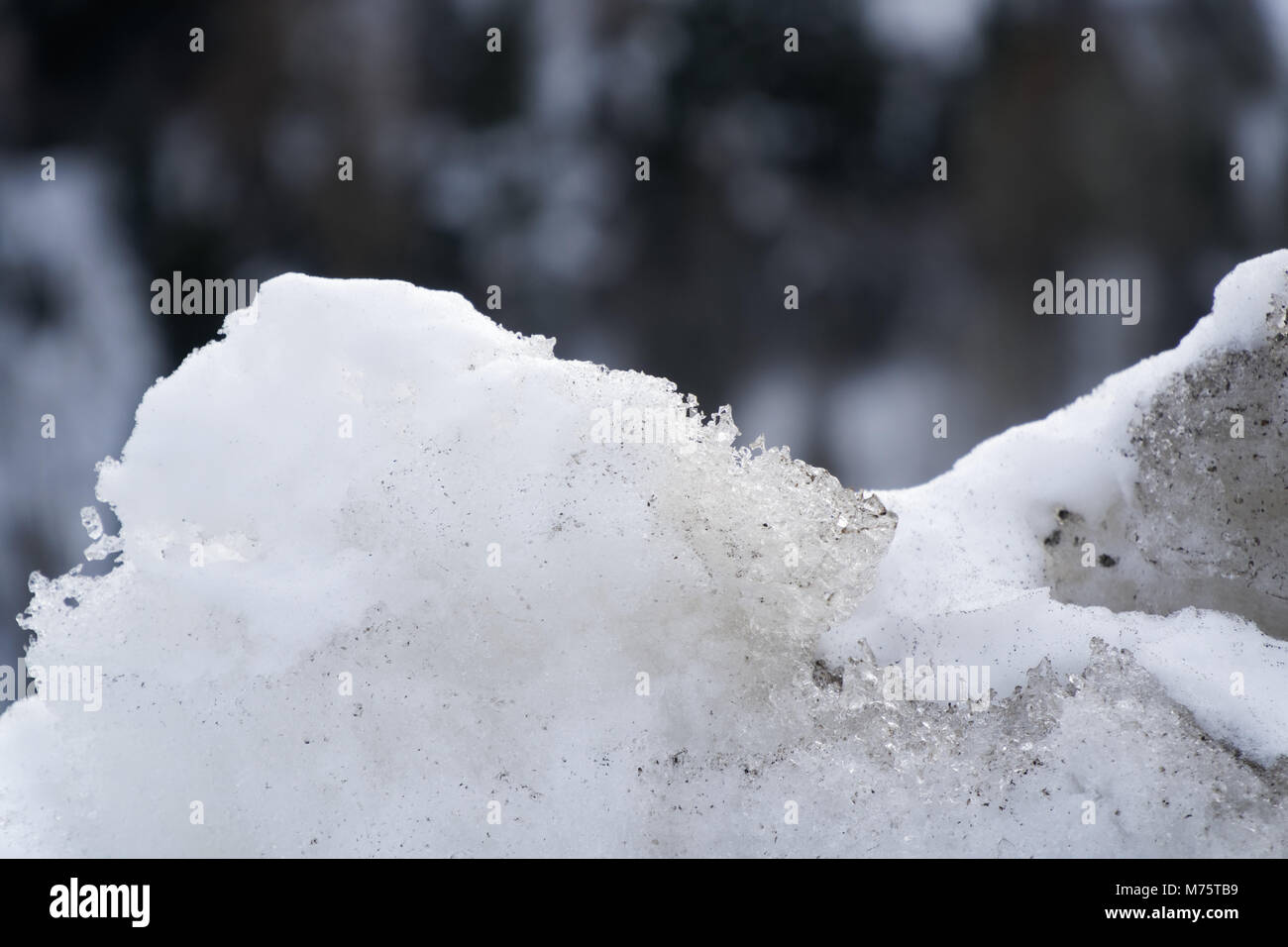 Snow Winter background, close-up of frosted ice lump on a snowing day ...