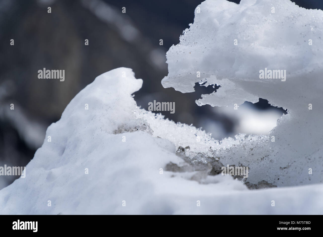 Snow Winter background, close-up of frosted ice lump on a snowing day ...