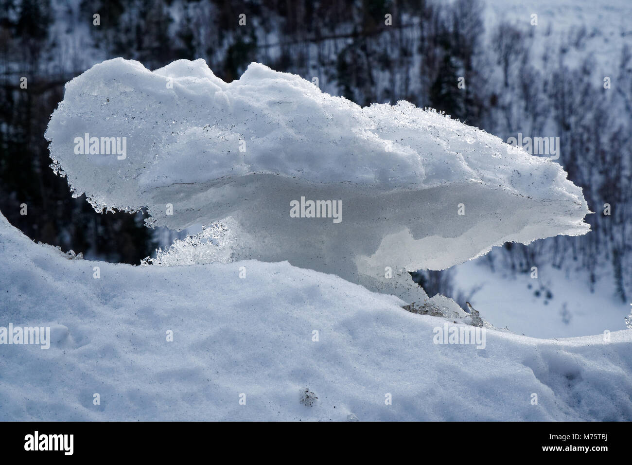 Snow Winter background, close-up of frosted ice lump on a snowing day ...