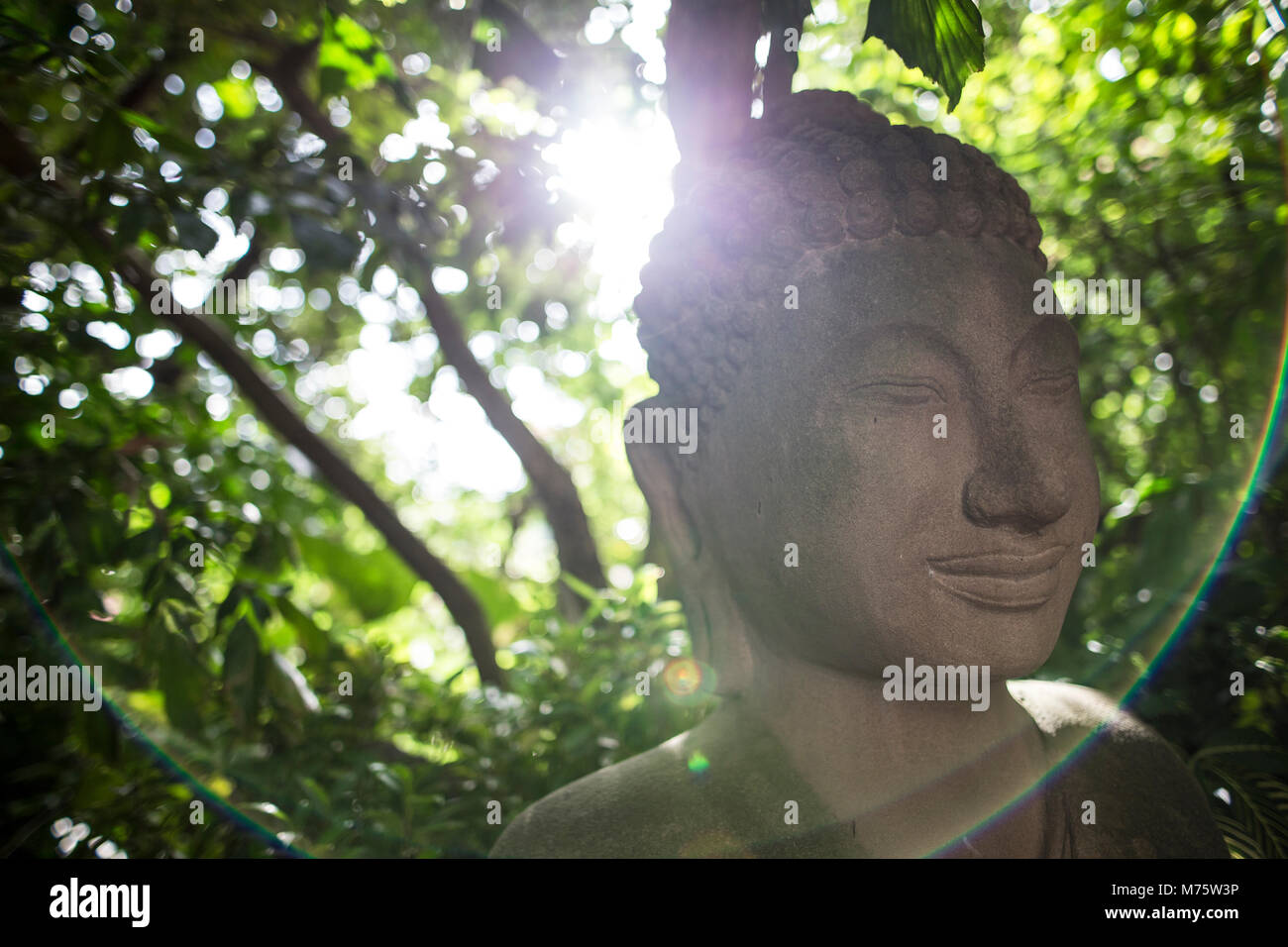 Buddha sculpture with back light from sun through leaves curtain ...