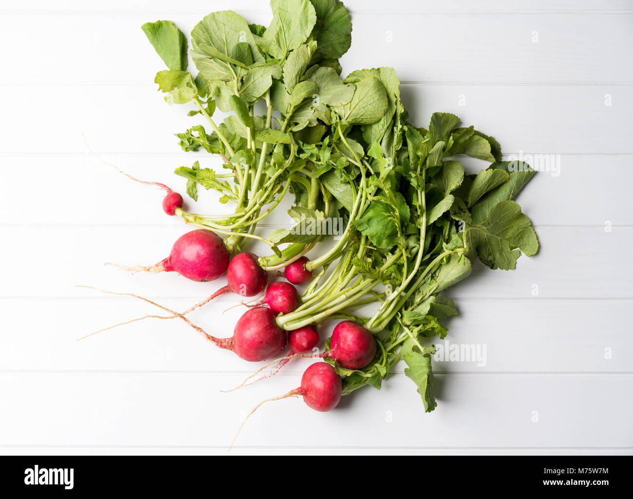 Radish in white table Stock Photo - Alamy