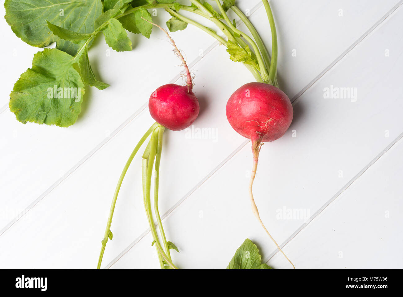 Radish in white table Stock Photo - Alamy