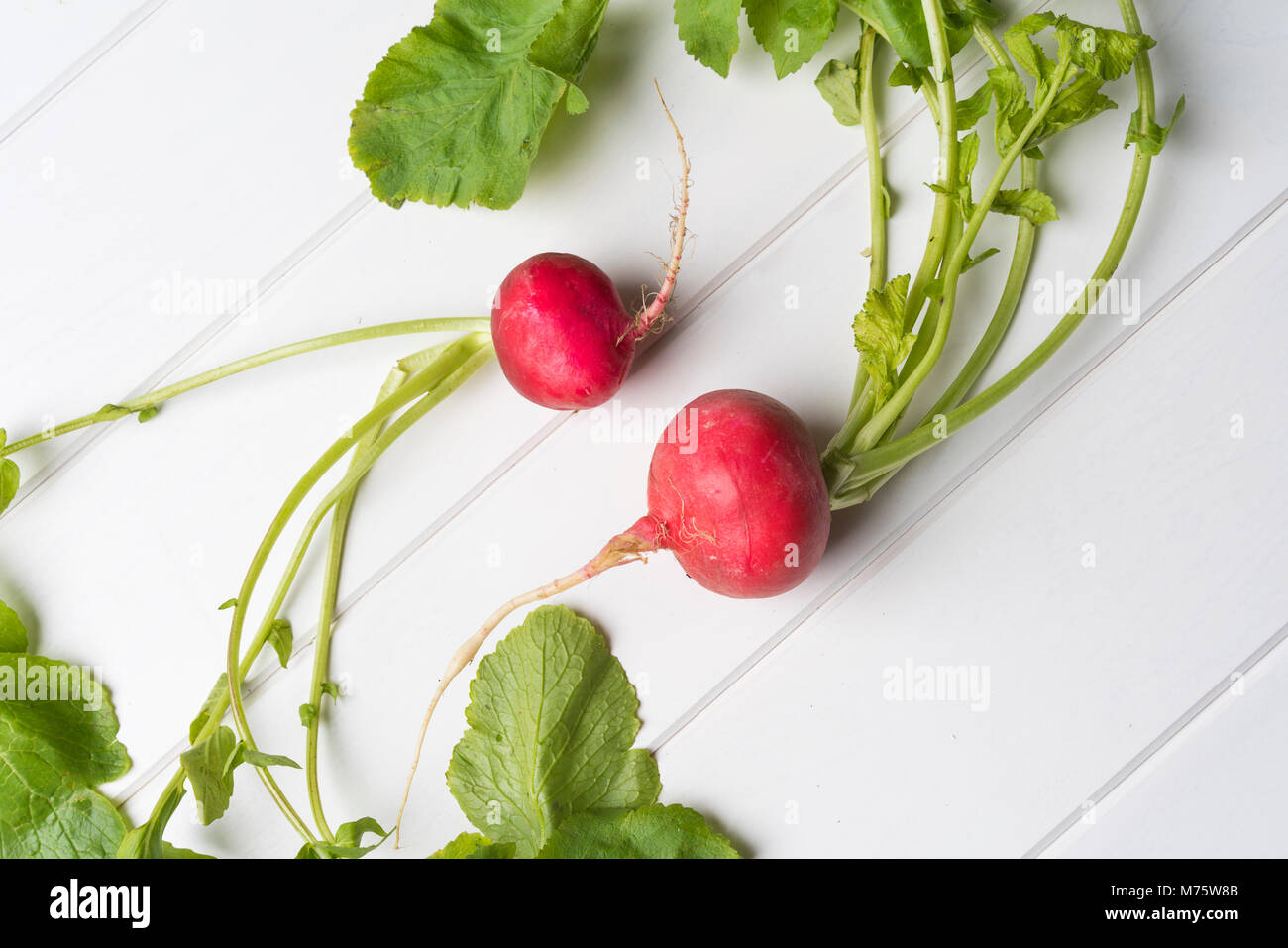 Radish in white table Stock Photo - Alamy