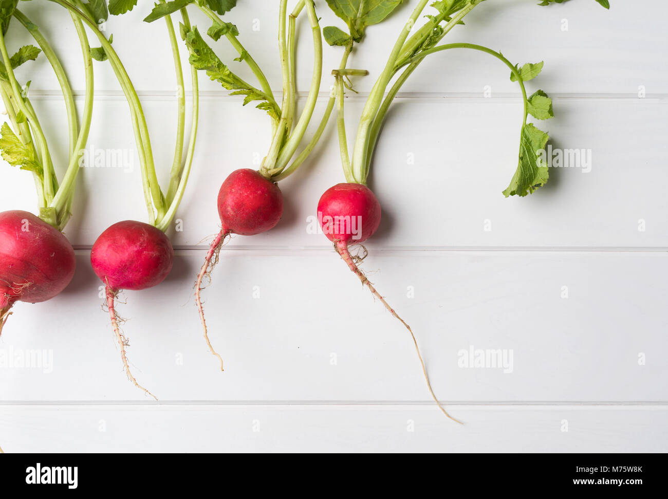 Radish in white table Stock Photo - Alamy