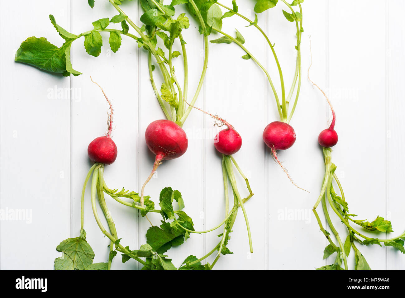 Radish in white table Stock Photo - Alamy