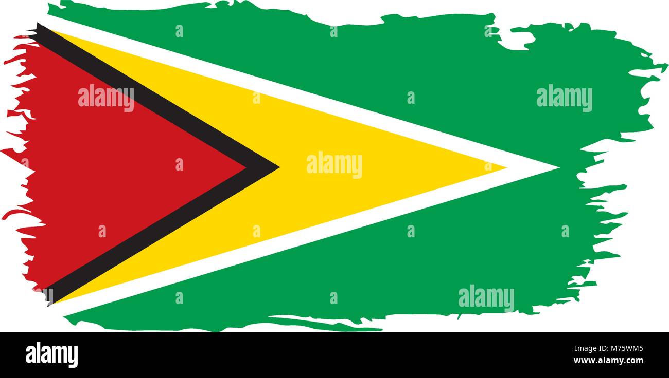 Guyana flag, vector illustration Stock Vector Image & Art - Alamy