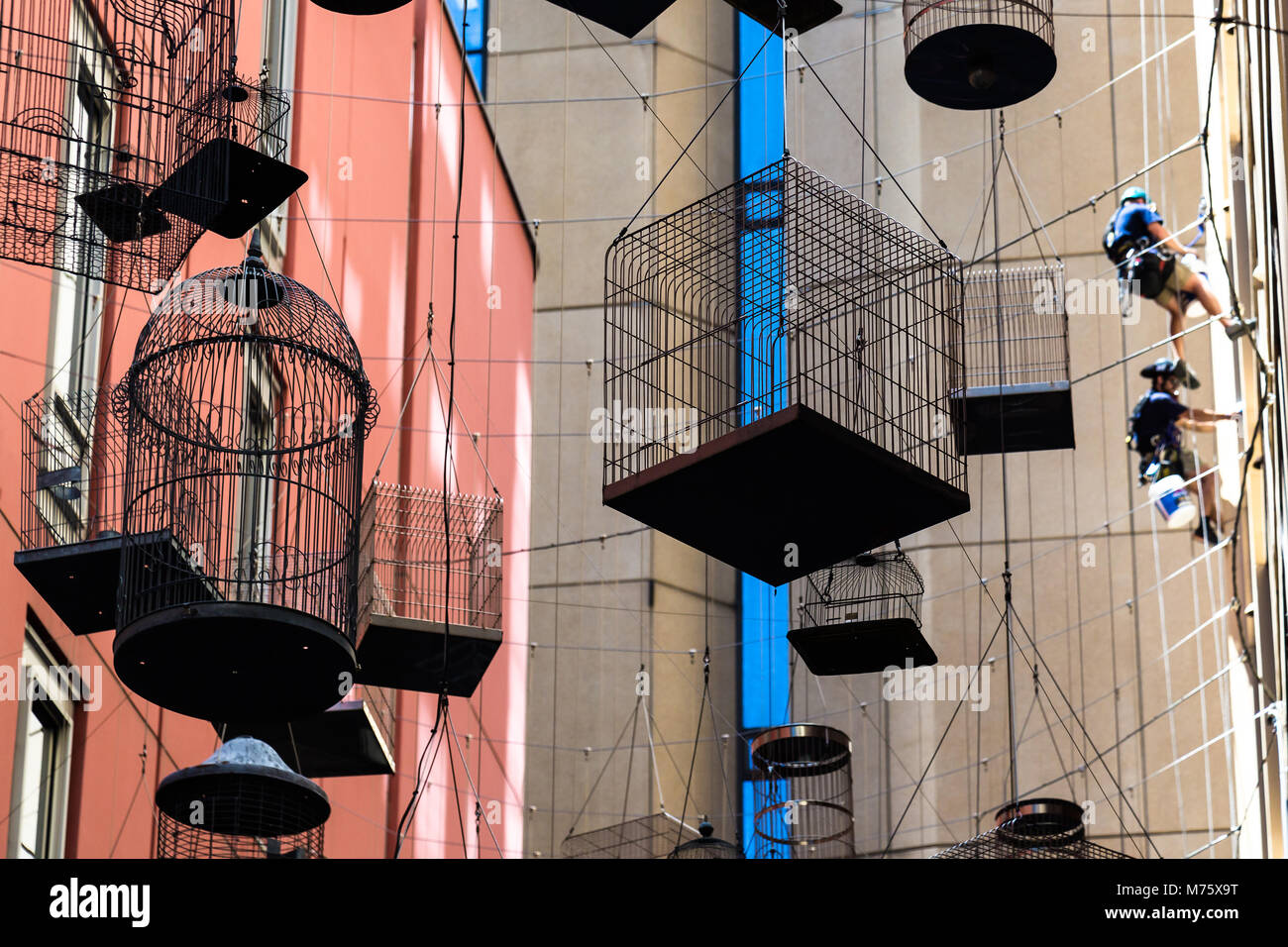 An art installation of 50 hanging cages, titled Forgotten Songs. It ...