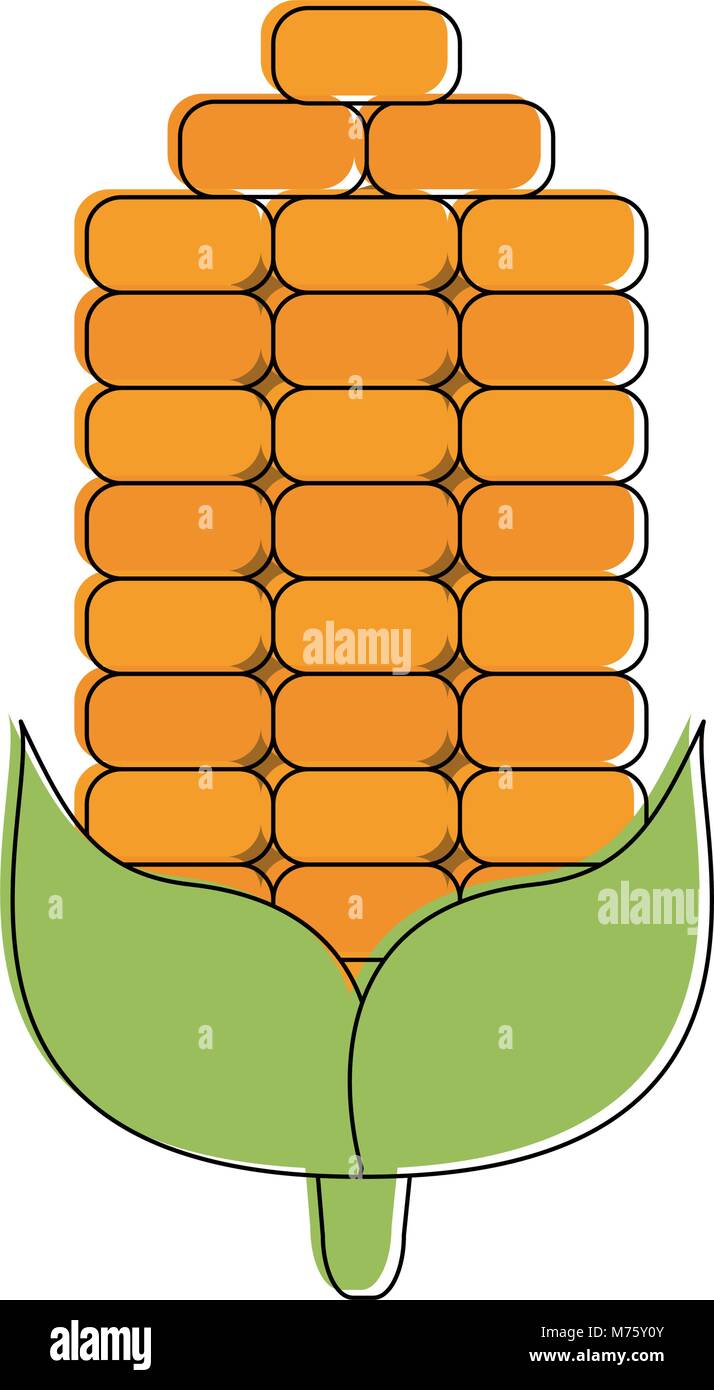 Corn vegetable isolated vector illustration graphic design Stock Vector ...