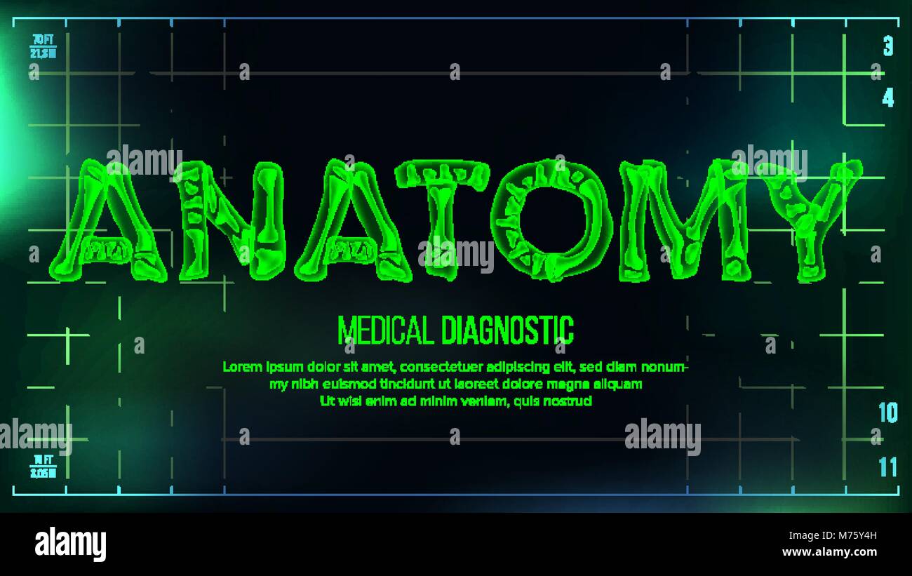 Anatomy Banner Vector. Medical Background. Transparent Roentgen X-Ray ...