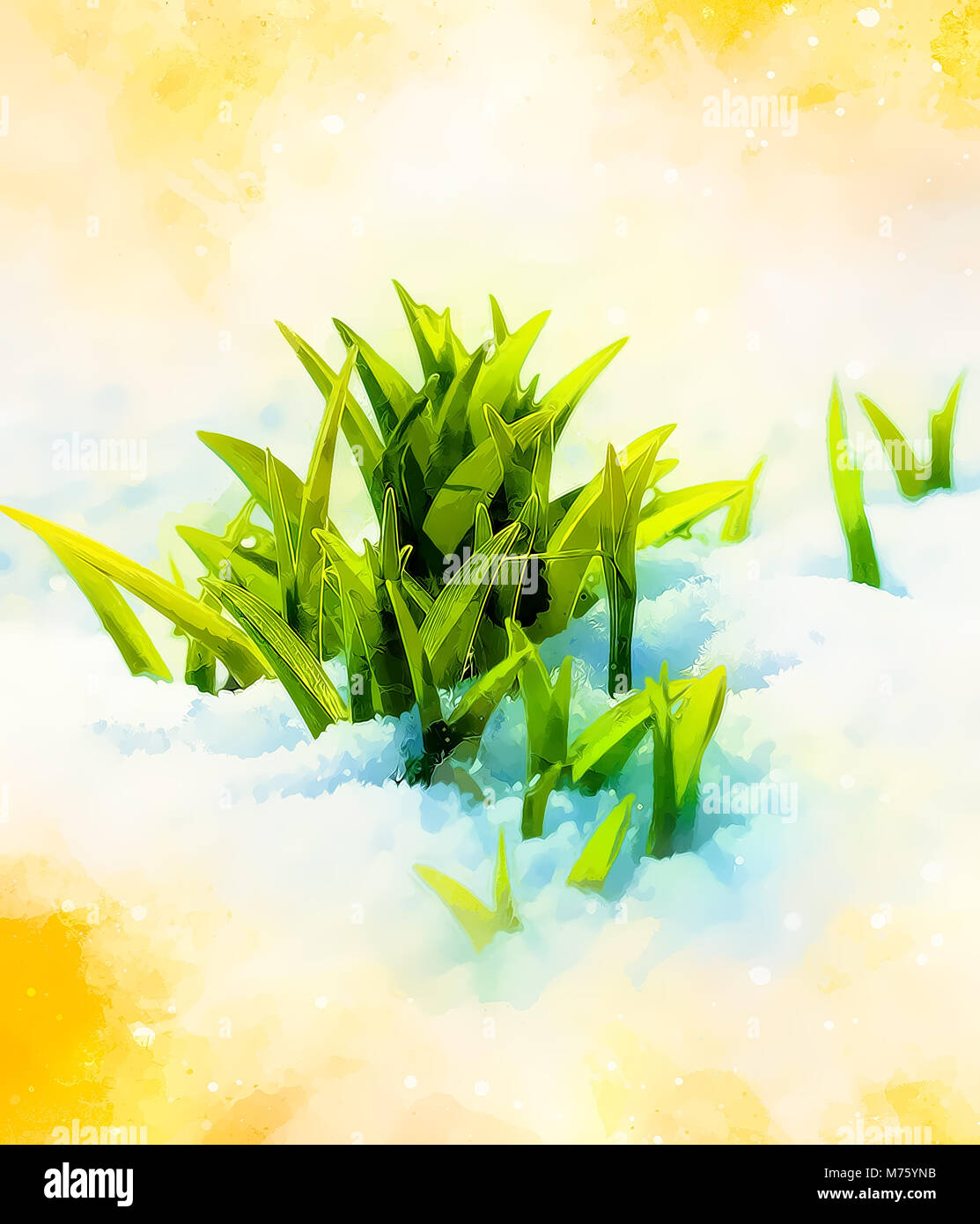 green sprout on snow. symbol of symbol of spring and softly blurred ...