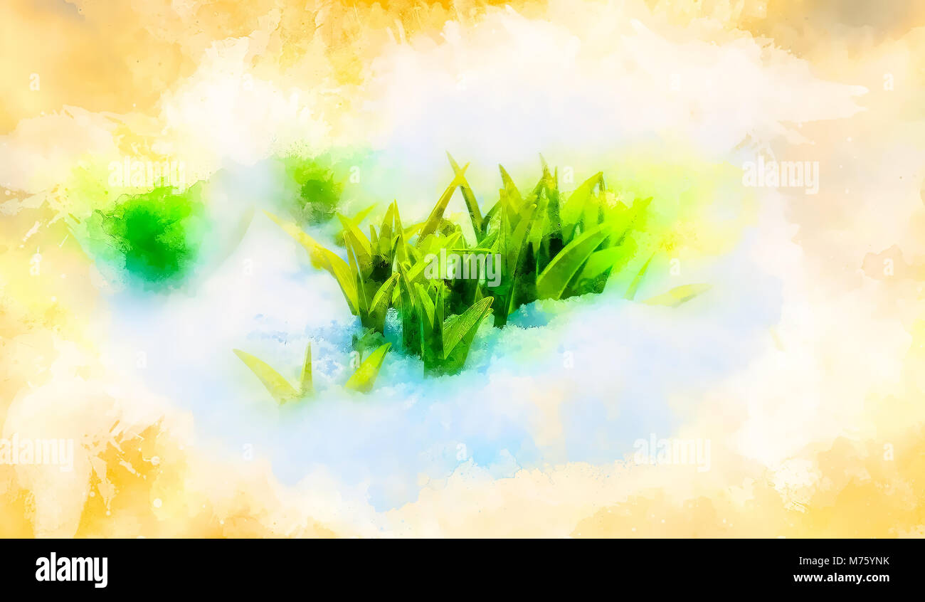 green sprout on snow. symbol of symbol of spring and softly blurred ...