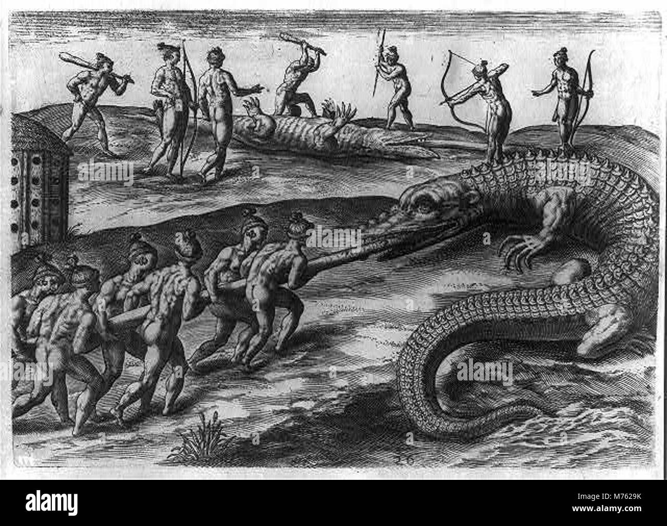This image portrays the hunting of alligators, a practice that has been ...