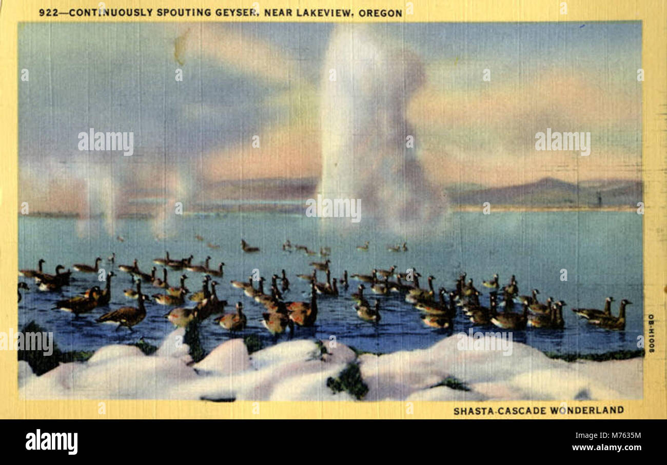 The continuously spouting geyser in Lakeview, Oregon, located in the ...