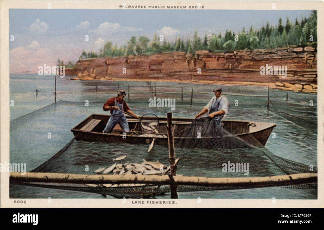 An exhibit at the Milwaukee Public Museum showcasing the lake fisheries ...