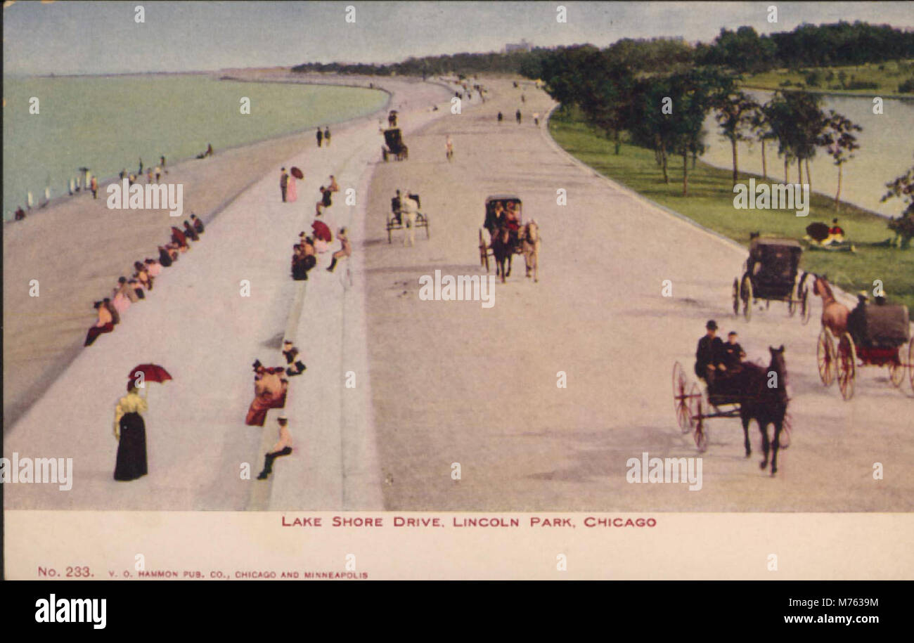 A photograph of Lake Shore Drive in Chicago, showcasing the road's ...