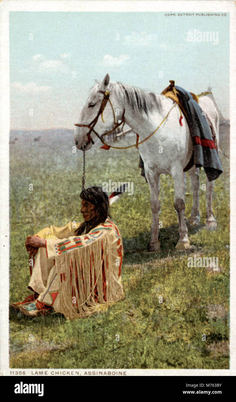 Lame Chicken, Assinaboine (NBY 9159 Stock Photo - Alamy