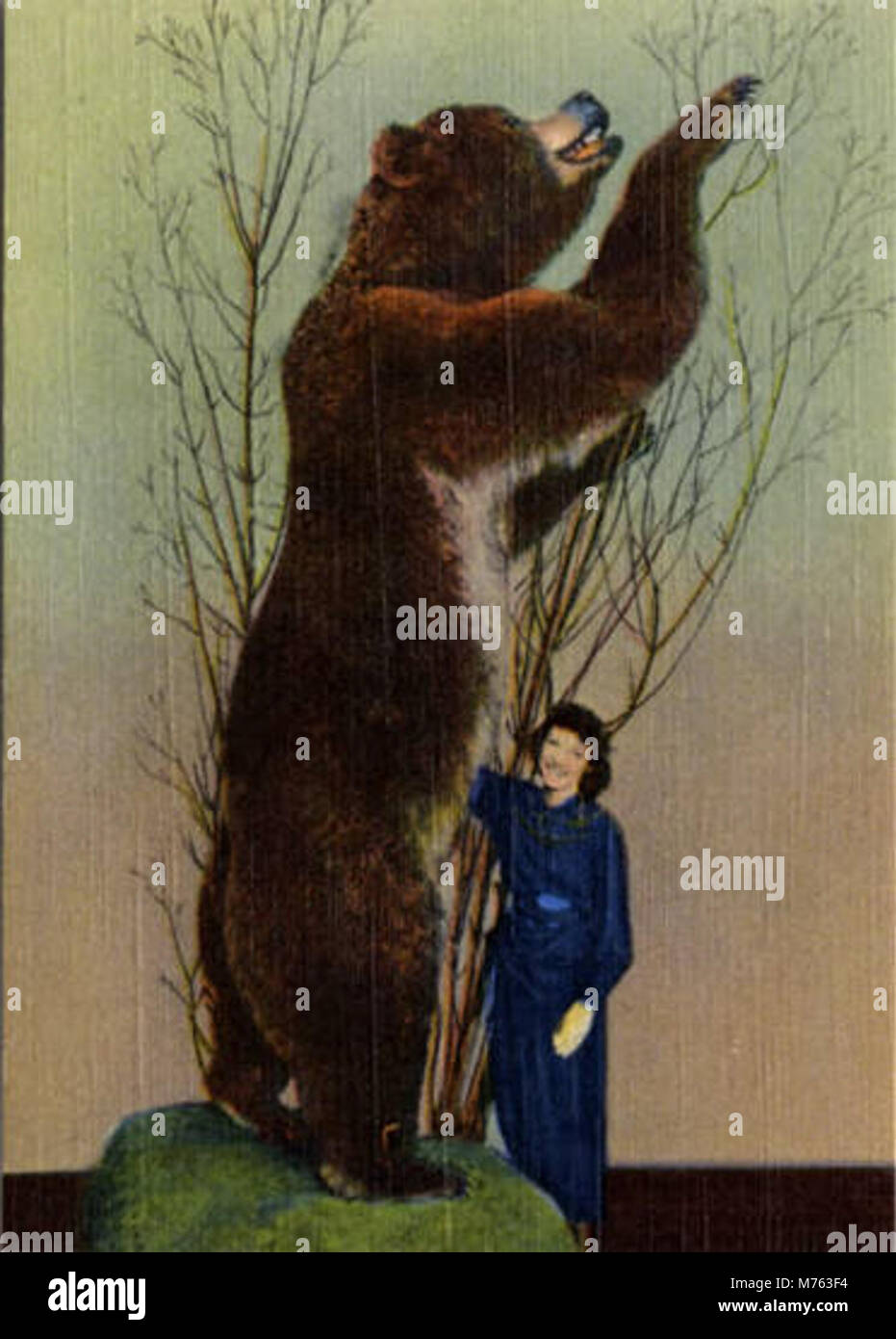 This image shows the largest Kodiak bear ever captured, highlighting ...