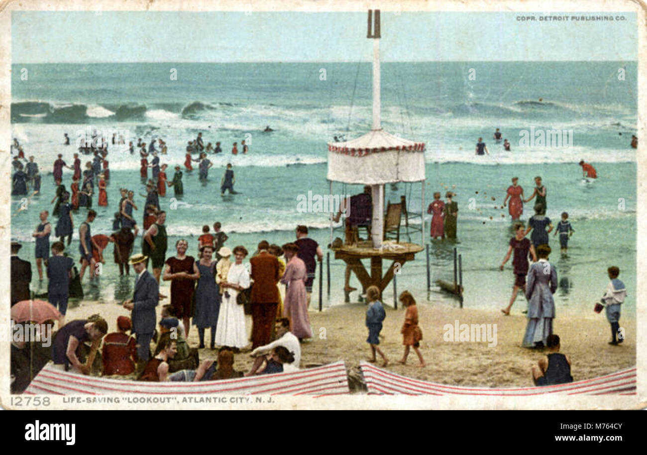 A photograph capturing a life-saving lookout, an essential feature for ...