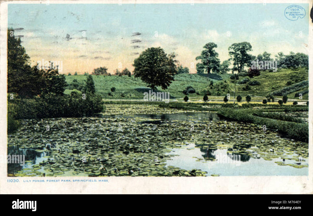 Lily Ponds in Forest Park, located in St. Louis, Missouri, is a scenic ...