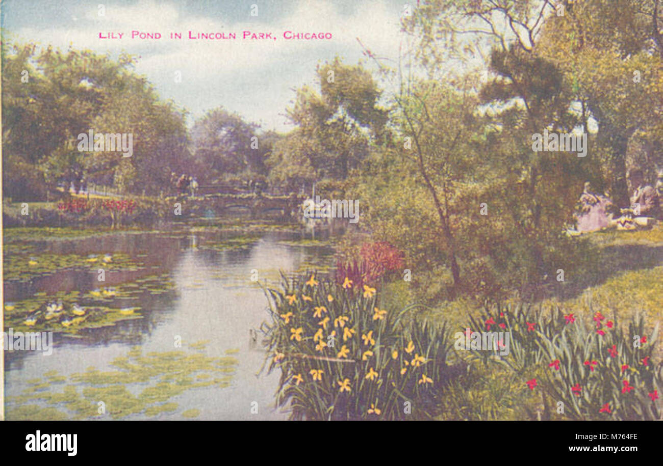 Lily pond chicago hi-res stock photography and images - Alamy