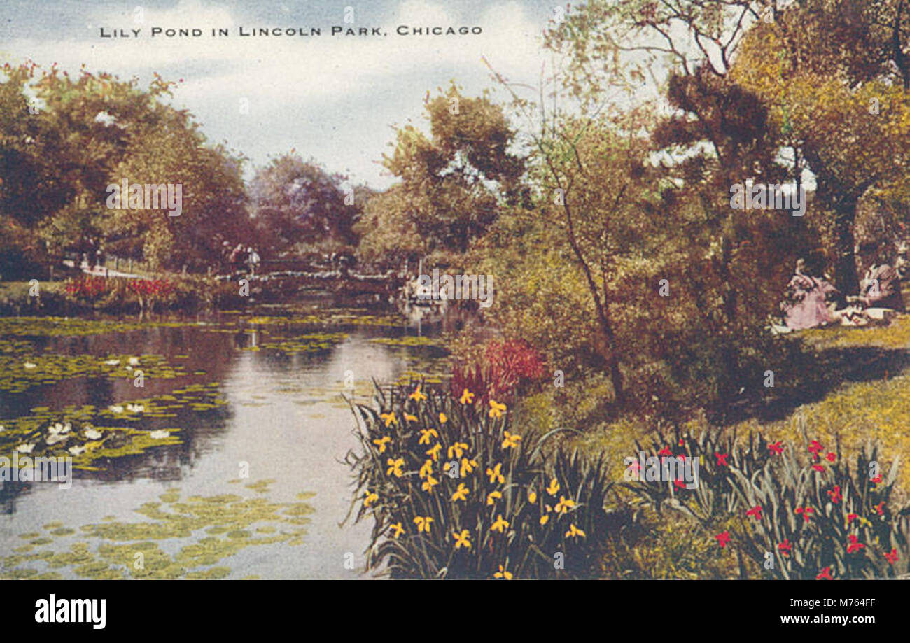 Lily pond chicago hi-res stock photography and images - Alamy