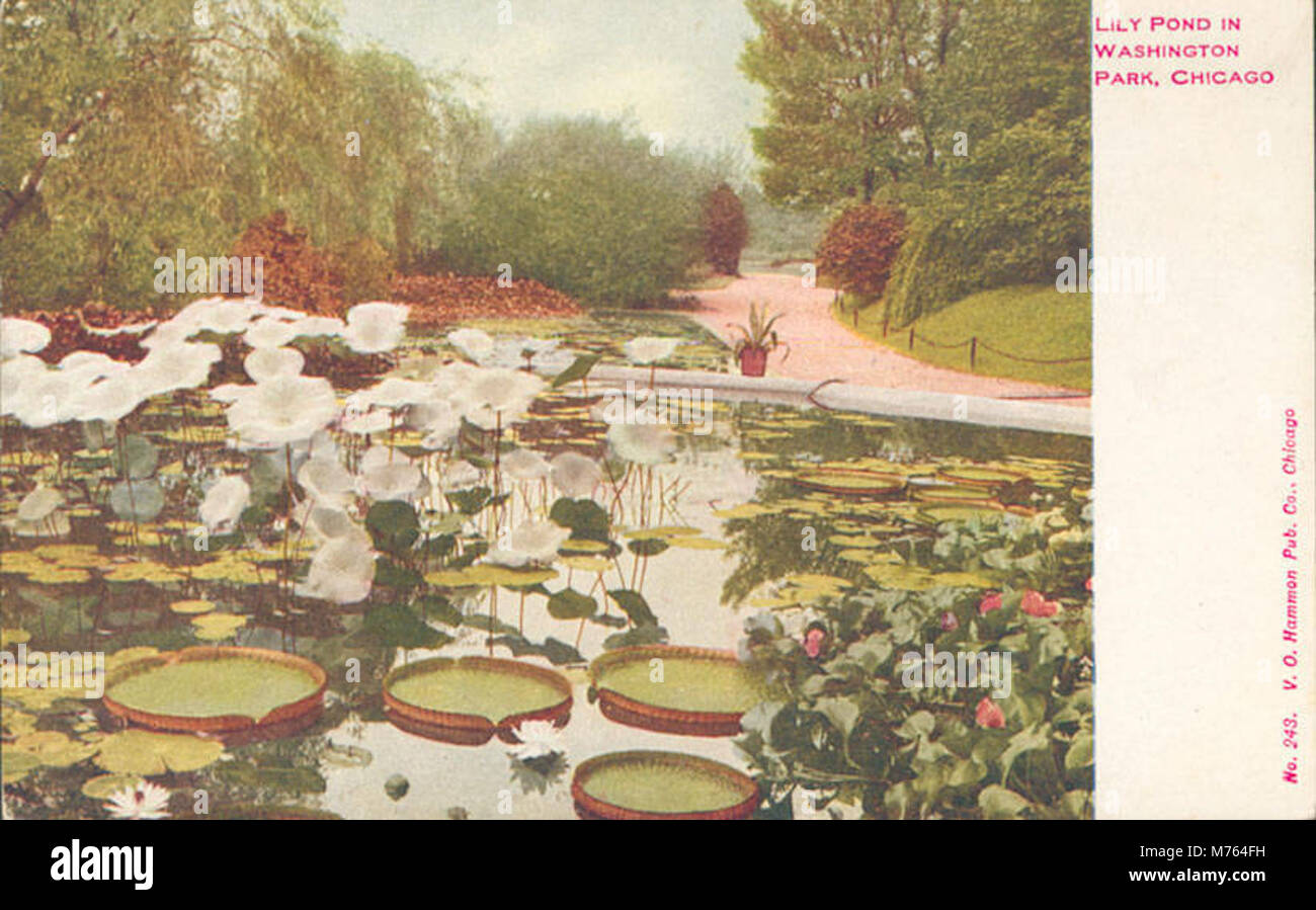 This image depicts the serene Lily Pond in Washington Park, Chicago ...