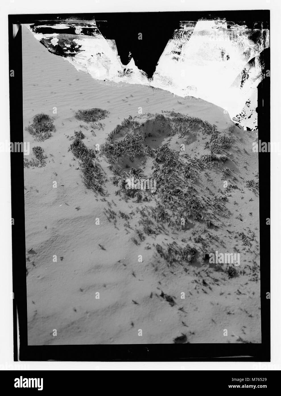 Swarming Black and White Stock Photos & Images - Alamy