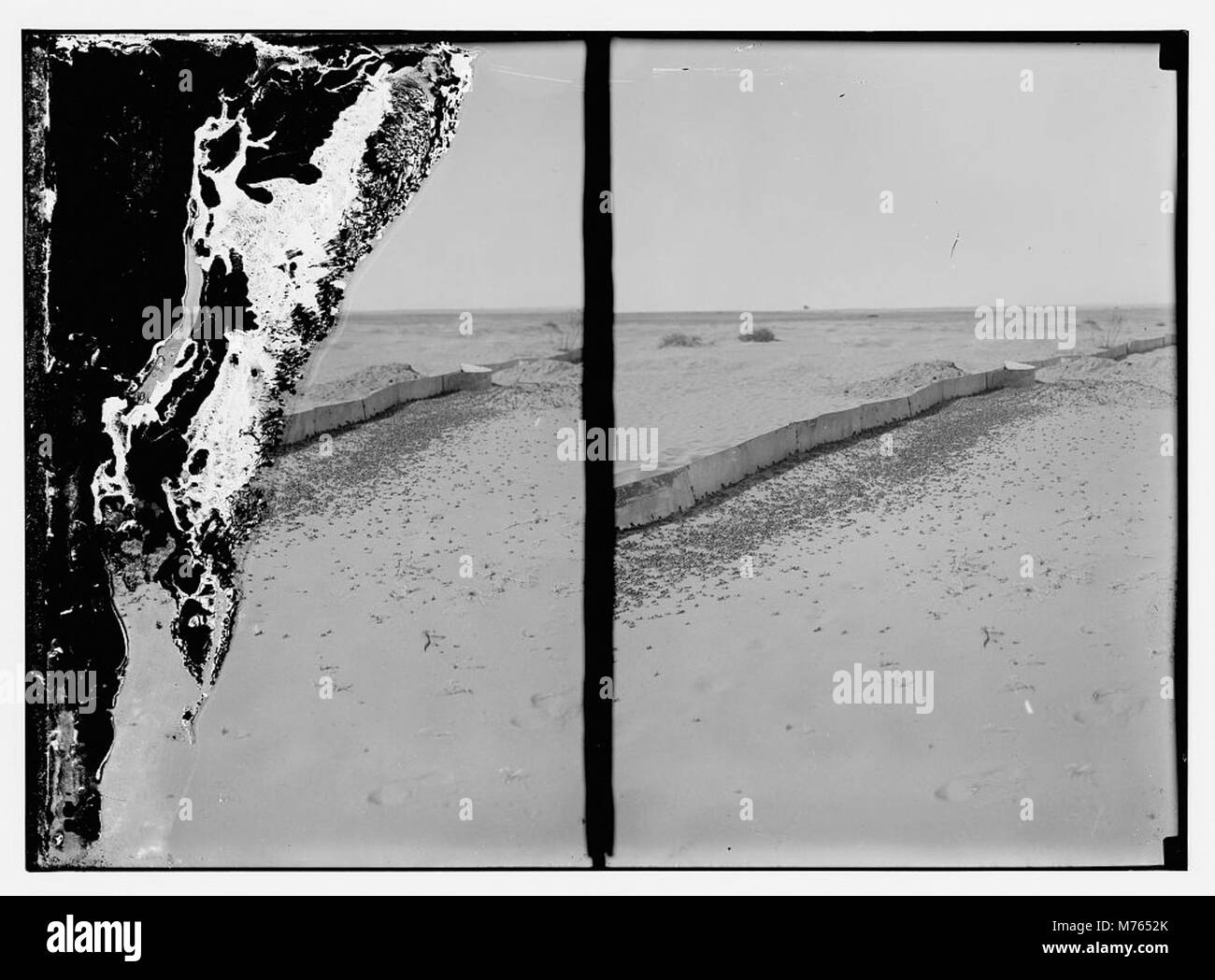 A photograph depicting the devastating impact of a locust plague on a ...